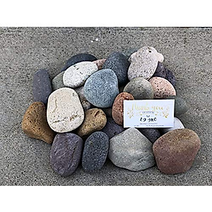 LF Inc. 50 Lb. Premium Large Mixed Mexican Stone Beach Pebbles 3-5 inches, Decor, Garden, Landscape, Pathways, Backyard, Rock Pebbles