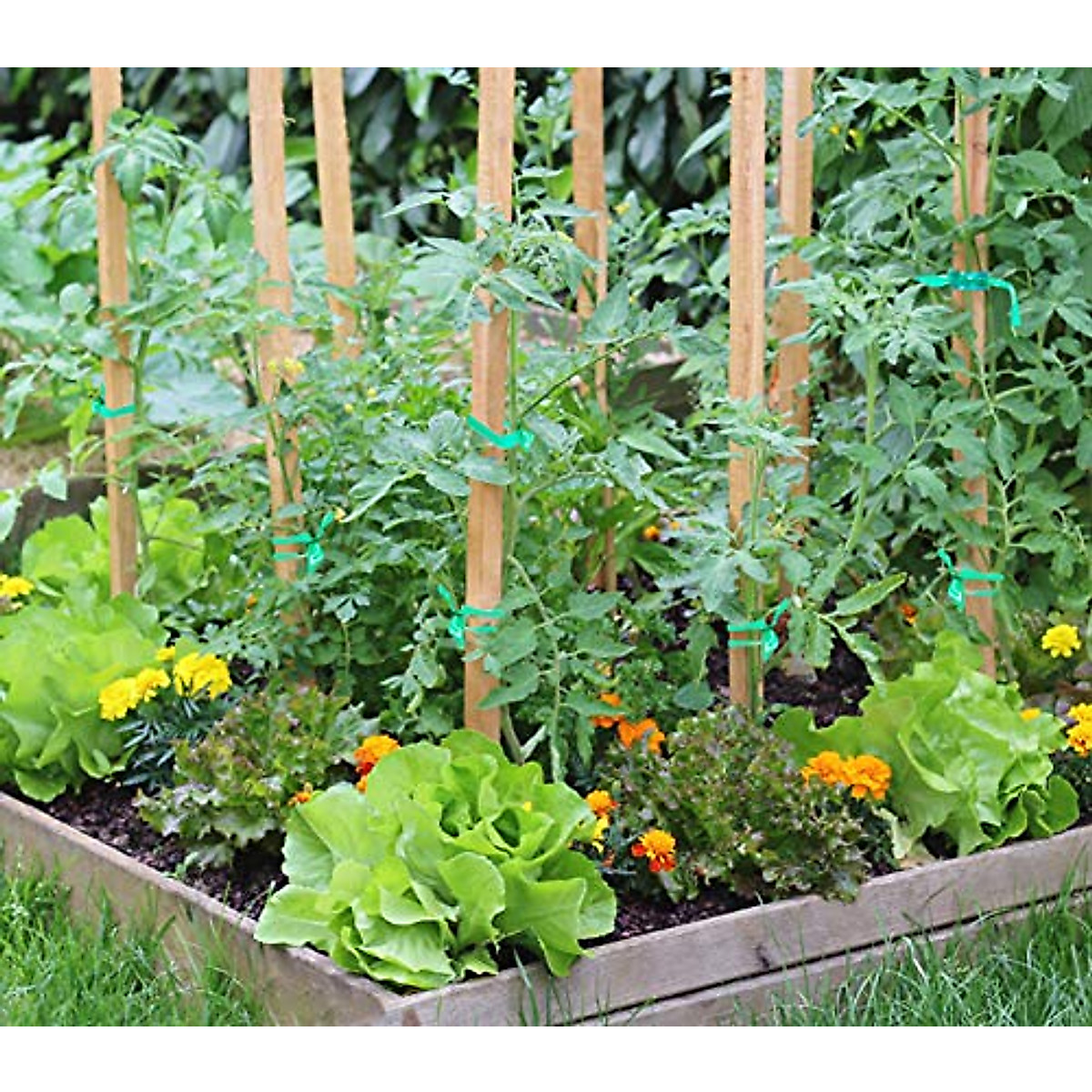 Unves Garden Tape Roll, 1/2" 300 Ft Plant Tape, Reusable Stretch Tie Tape for Plants, Nursery Tree Tape Support for Indoor Outdoor Patio Plant, Tree, Vegetables, Branches