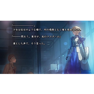 Fate / Stay Night [Realta Nua] Playstation Vita the Best Limited Benefits "Another Special Jacket" With