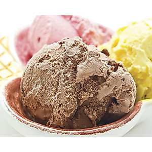 Hamilton Beach Electric Automatic Ice Cream Maker, Frozen Yogurt, Sorbet, Custard 1.5 Quart, White (68880)