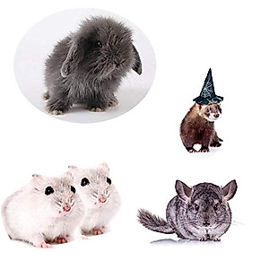 Small Animals Bowl, Detachable Cage Feeder Pet Ceramic Water & Food Feeder, Small Animal Supplies for Rabbit Parrot Squirrels Chinchilla Hamster Ferret (White, M)