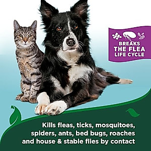 Vet’s Best Flea & Tick Waterless Bath for Cats – Cat Waterless Bath – Cotton Spice Scent – Natural Flea and Tick Prevention – Kills Fleas & Ticks on Contact – 5oz
