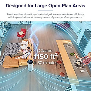 LEVOIT Air Purifiers for Home Large Room with HEPA Filter (LV-H134) and Air Quality Monitor (LV-H133)