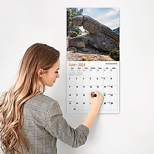 RED EMBER D'ck Pics in Nature 2024 Wall Calendar 12 Month | 12" x 24" Open | Thick & Sturdy Paper | Giftable | Calendar 2024