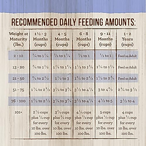 Merrick Healthy Grains Premium Dry Dog Food, Wholesome And Natural Kibble For Healthy Digestion, Puppy Recipe - 4.0 lb. Bag