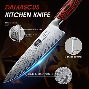 Kitchen Knife Set with Block, 7 Pieces Chef Knife Set 67 Layers Damascus Steel Professional Knife Set for Cooking, Ergonomic G10 Handles with Sharpener