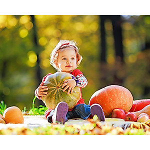 PENTA ANGEL 3Pcs Halloween Wrist Band Jingle Bells Bracelet Musical Instruments for Party Favors Costume Supplies (Black, Orange, Purple)