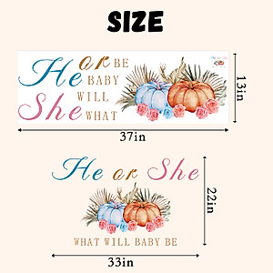 ZAIBIANHAO HE or SHE What Will Baby Be Gender Reveal Party Decal - Halloween Pumpkin Themed Shower Party Wall Decal Sign,Thanksgiving Stickers Decoration for Balloon Arch (Pumpkin He or She Decal)