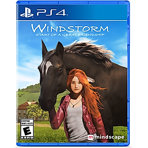 Windstorm: Start of a Great Friendship (PS4)
