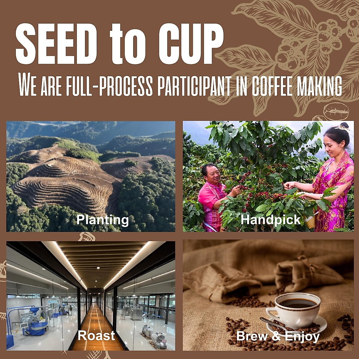 HALI Whole bean Coffee Beans Espresso Beans Whole Geisha Coffee Beans Light Medium Roast Ethiopia Coffee Floral Citrus Sweet Flavor Notes Freshly Roasted Coffee Beans Whole , Ethiopia Gesha 8 Ounce 8oz Pack