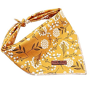 lionet paws Dog Bandana for Small Medium Large Dogs, Cat Dog Kerchief Dog Triangle Bibs Scarf for Girl Boy Gift