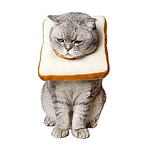 Amakunft Adjustable Cat Cone Collar Soft, Cat Recovery Collar, Cone for Cat After Surgery, Cat Neck Cone, Elizabethan Collar for Cat and Kitten