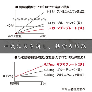 タクミジャパン(TakumiJAPAN) Takumi MGEG-M Egg Pan, Induction Compatible, Magma Plate, Made in Japan, Egg Grill, Iron