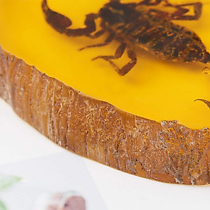 Garneck Amber Fossil Insect,Artificial Amber Insect Specimen Pendant Butterfly Scorpions Insects Amber Stone Ornament for Collection(Scorpion)