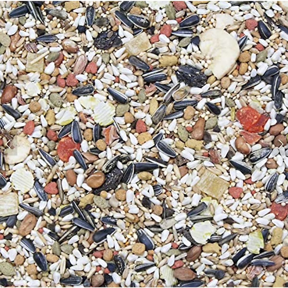 Higgins 2 Pack of Vita Seed Natural Blend Conure and Lovebird Food, 5 Pounds Each