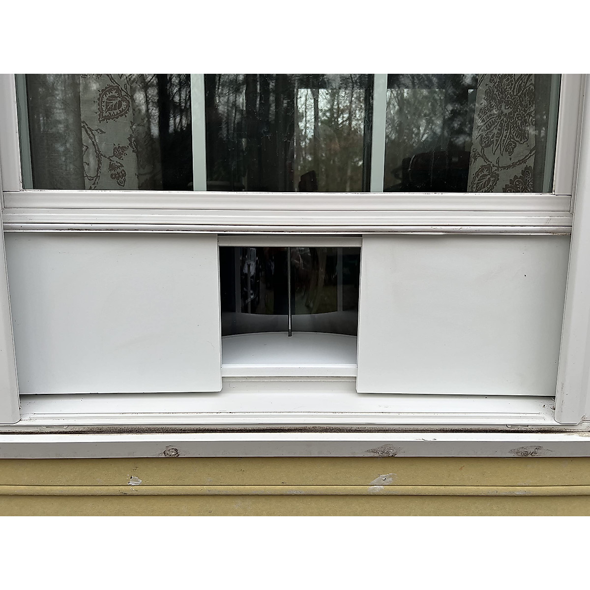 Clearview Window Bird Feeder by Paradise Birdhouses