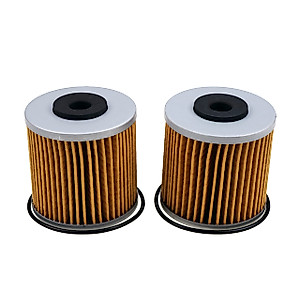 JEENDA X2 Transmission Filters Includes o-ring Compatible with Hydro Gear 71943 Ferris 5101987X2 5101987X2YP Scag HG71943 Bad Boy 063-1070-00 Gravely 21548300 ZT-5400 (2)
