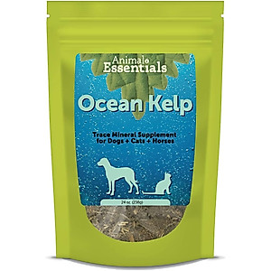 Animal Essentials Ocean Kelp for Dogs & Cats - Thyroid Support, Thyroid Supplement, Sea Kelp, Kelp Powder, Trace Mineral Supplement - 24 Oz