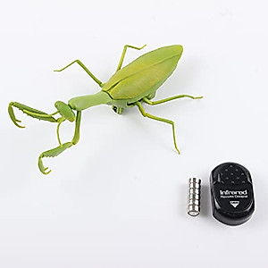 Foedoy Infrared Remote Control Praying Mantis Model Toy Electric Halloween Prank Children's Toys robo Alive Giant Python x Snake Early Education Puzzle