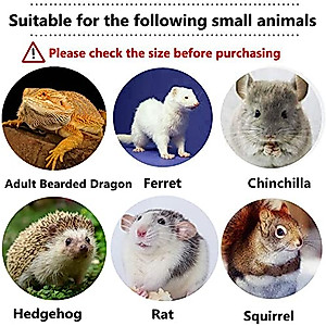 4.72 Inch Lizard Bearded Dragon Bath Collar Ring Small Animal Inflatable Float Toy Reptile Swim Life Jacket Float for for Ferret Lizard Hedgehog Hamster Ferret Cage Accessories Photo Shoot Toy