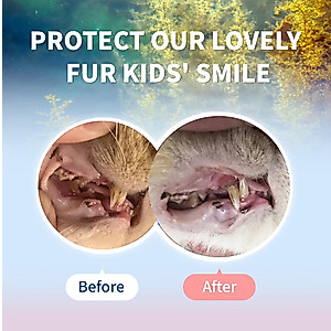 Love Can Fly Cat Teeth Cleaning Powder for Cat, Plaque, Tartar Remover for Oral Health, Eliminates Bad Breath, Natural Ingredients Fucoidan Brown Algae, Norwegian Kelp Persimmon Tannin 1.4 Oz