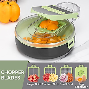 Badelite 13 in 1 Vegetable Chopper Slicer, Stainless Steel Blade, Grey & Green