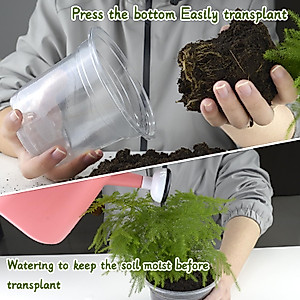 SupKing Clear Nursery Pots 5/4/3.5 Inch Plastic Planter with Drainage Holes, Small Starter Seed Starting Trays for Seedling with Bonus 15pcs Plant Labels（12pcs）