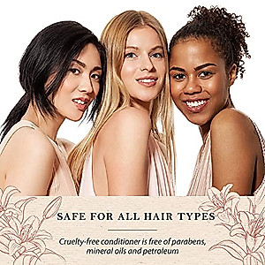 Begin Beautifully Color-Safe Shampoo, Conditioner and Blow-Dry Detangler Spray Set For Natural and Curly Hair - Color-Safe to Minimize Fading