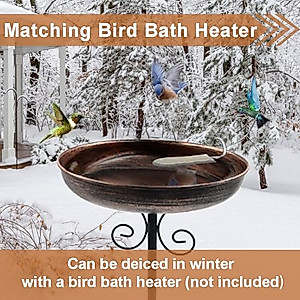 OUISJYER Small Metal Bird Baths for Outdoors, 10" Dia Bowl with Stake Birdbaths Garden Yard Lawn Decor Brown