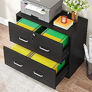 LITTLE TREE Lateral File Cabinet with 2 Drawers, 31.5 Inches Large Filing Cabinet for Hanging Letter/Legal/F4/A4 Size Files with Lock, Home Office, Black