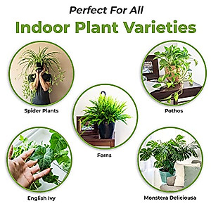 Perfect Plants Indoor Plant Soil 4qt | Perfectly Balanced Potting Mix | Gardening Substrate for All Varieties of Live houseplants