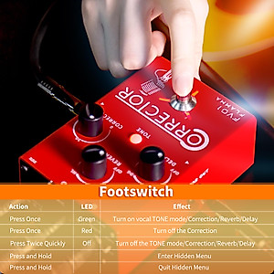 FLAMMA FV01 Vocal Effects Processor Pitch Correction Voice Pedal Vocal Stompbox Microphone Amplifier for Singer Live Singing Streaming Recording with Delay Reverb Acoustic Guitar Playing