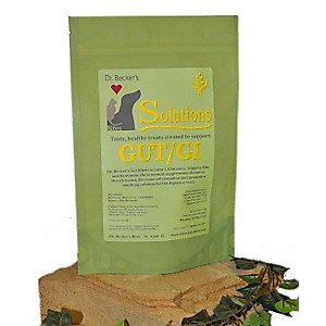 Dr. Becker's Gut/GI Solution Bites
