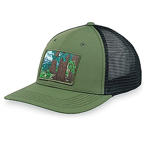 Artist Series Patch Trucker