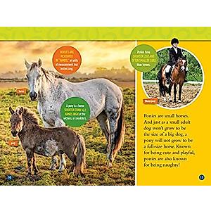 National Geographic Readers: Gallop! 100 Fun Facts About Horses (L3)
