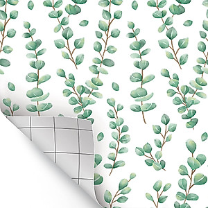 Teacher Created Resources Eucalyptus Peel and Stick Decorative Paper (TCR70008) 17-1/2 inches x 10 feet