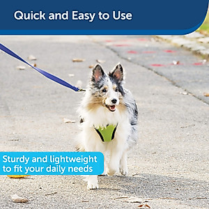 PetSafe Nylon Dog Leash - Strong, Durable, Traditional Style Leash with Easy to Use Bolt Snap - 1 in. x 6 ft., Royal Blue