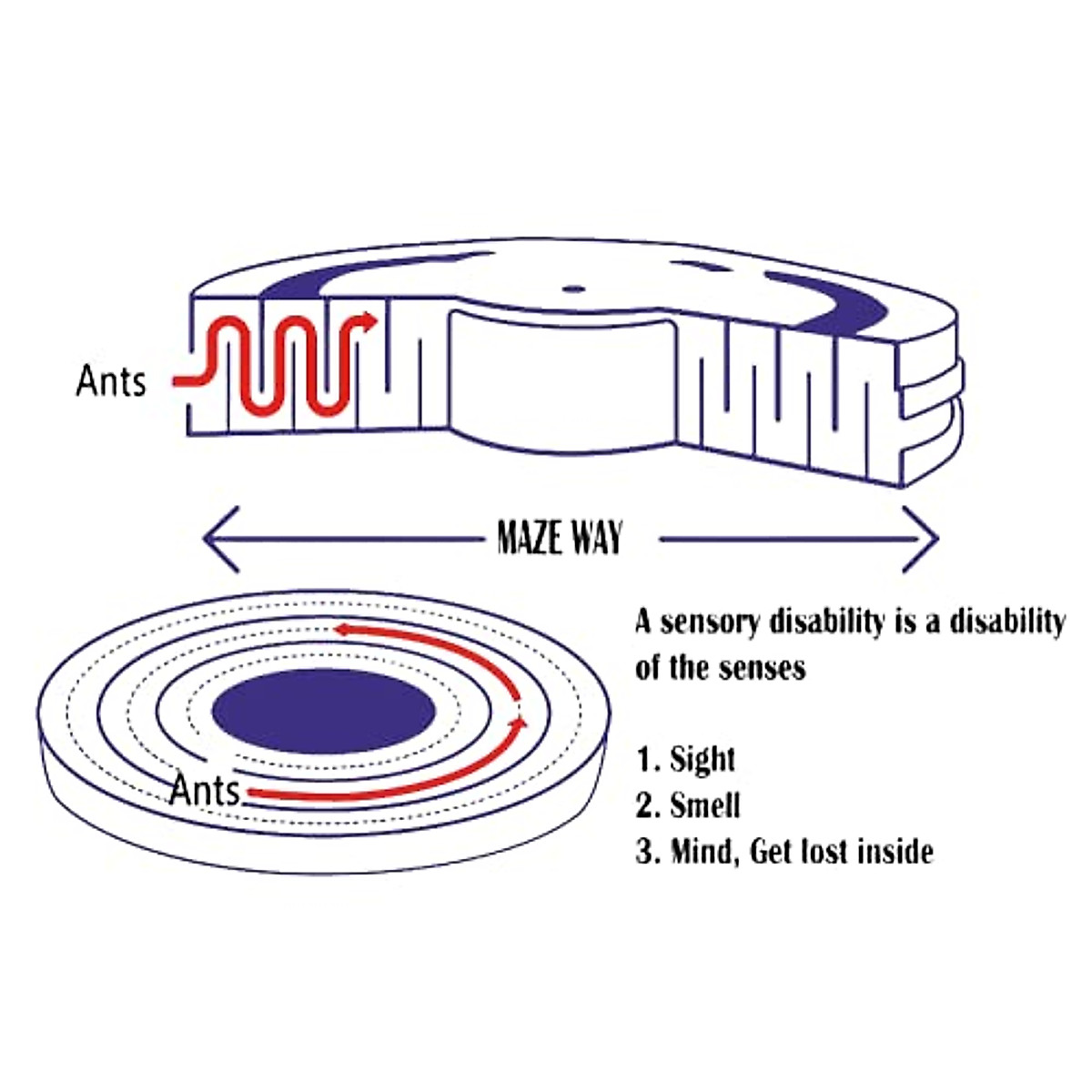 Yuwoda Ant Away Cat Dog Feeding Bowl Tray Ant Away Tray Pet Food Dish Safe Indoor Moats No Water No Plugged in Needed Automatic cat feeders