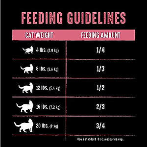 CRAVE Grain Free Indoor Adult High Protein Natural Dry Cat Food with Protein from Chicken & Salmon, 10 lb. Bag