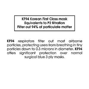 [Pack Of 10] GOODDAY ENGLISH BLACK SMALL Certified KF94 Korean Face Mask Disposable Comfortable YOUTH Face Mask, Age 9-15, Small Size By Happy Life