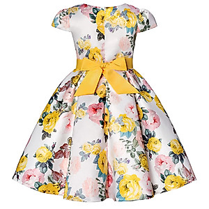 AIMJCHLD Party Dress for Toddler Little Baby Girls Flower Wedding Dresses Pageant Prom Ball Gowns Fancy Performance Formal Dress Size 2T 3T Yellow 100