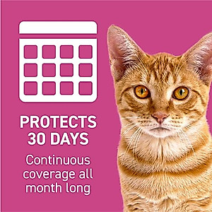 NEXTSTAR Flea and Tick Prevention for Cats, Fast Acting Topical Treatment & Control, Waterproof Drops, Small Cat and Kitten Over 3.5 lbs - 3 Month Supply