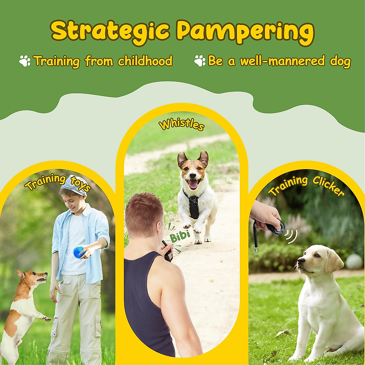 Eefitoys 22-in-1 Puppy Teething Chew Toy Set, Dog Toys with Rope, Squeaky Toys & Treat Balls for Small Dogs