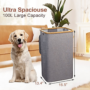 FairyHaus Laundry Basket with Lid, Freestanding Large Laundry Hamper with Lid, Removable Bag & Support Rods, Collapsible Dirty Clothes Hampers for Laundry with Easy Carry Bamboo Handles, Tall, Grey