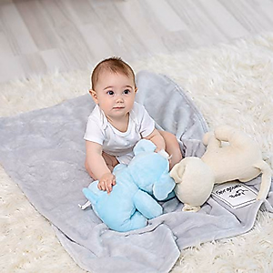 DEZANBO Baby Blanket for Boys Gilrs, Baby Blankets for Newborn,30”X 40”-Super Soft Fluffy Flannel,Great for Baby Showers, Light Grey