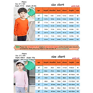 AIWUHE Toddler Boys Girls Solid Pullovers Sweatshirt Long Sleeve T-Shirt Kids Cotton Crewneck Thin Tops Blouse 2T Gray 90