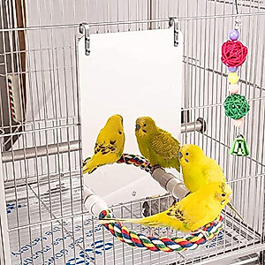 Tylu 6.6 inch Bird Mirror for Cage Parakeet Mirror with Rope Perch, Bird Cage Mirror Stand Swing Toys for Cockatiel Lovebirds Parrot Cockatoo Conures Finch Canaries, with ornaments