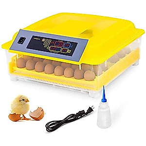 Egg Incubator 48 Eggs Fully Automatic Digital Poultry Incubator with Fahrenheit Temperature and Auto Turning for Hatching Chicken Duck Goose Quail Bird, Egg Hatcher Breeder Incubator Gift Set for Kids