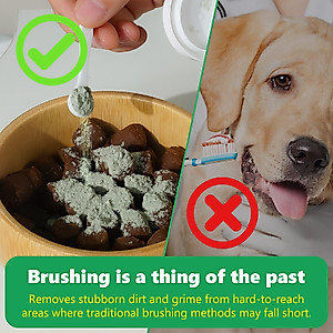 ALIVO Dental Powder for Dogs Teeth Cleaning, Dog Breath Freshener Powder with Probiotics Improve Bad Breath, Plaque & Tartar, Supports Healthy Mouth - Pets Dental Care Supplement - 30g