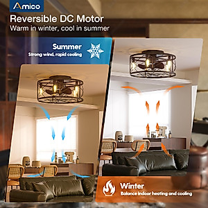 Amico 20 in caged ceiling fans with lights bladeless